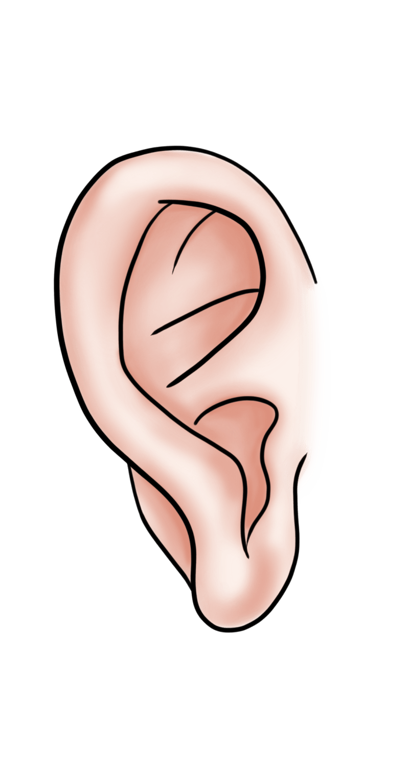 Ear Deformities - 1 in 3 infants are born with an ear deformity